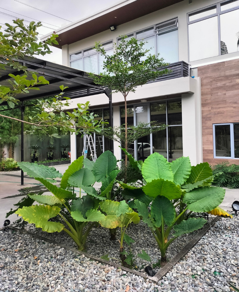 Architectural and Landscape Design Philippines | BS Design Expert